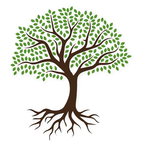 Esquema Del Arbol Ilustracion Del Vector Ilustracion De Treetop The