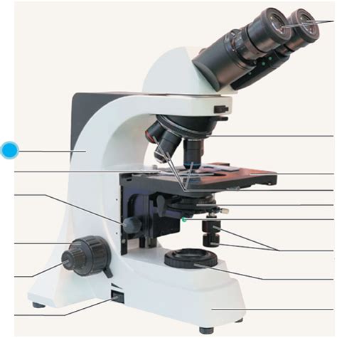 The Microscope Flashcards Quizlet