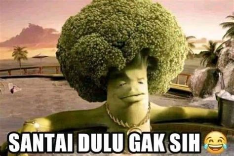 Alasan Kenapa Meme Brokoli Santai Dulu Gak Sih Bisa Viral