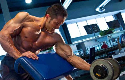 One Arm Dumbbell Preacher Curl Bodybuilding Wizard