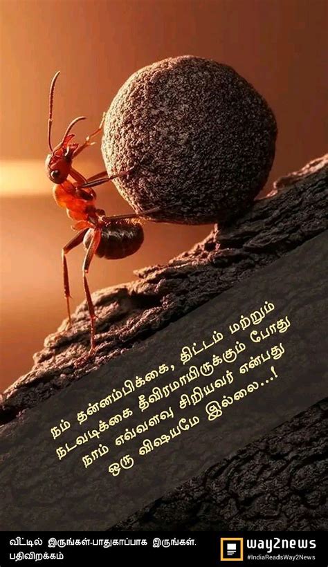 Good Morning Images In Tamil Artofit