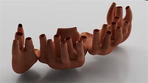 3D Endoplasmic Reticulum Model TurboSquid 2015670