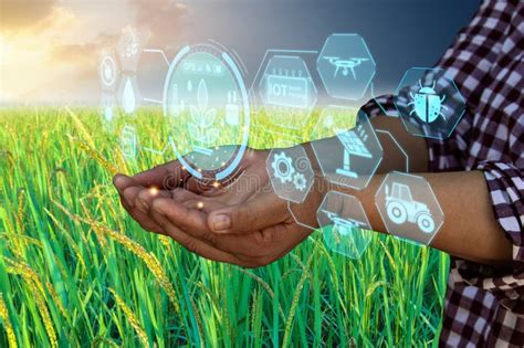 Smart Farming With IoT Grow Plants Farming With Infographics Smart