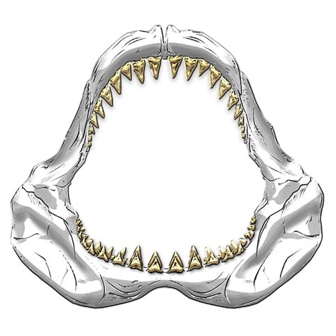 Shark Jaws PNG Transparent Shark Jaws PNG Images PlusPNG