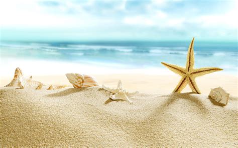 Plage sable coquillage Fond d écran HD Wallpaperbetter