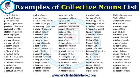 Examples Of Collective Nouns Pdf