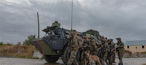 The 132nd Cynotechnical Infantry Regiment Learn Self Defense