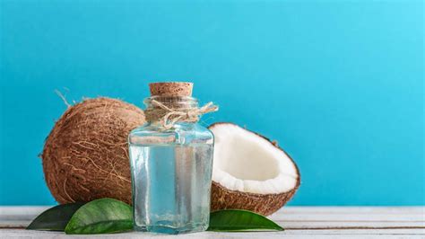 Aceite de coco para perros Todos sus beneficios aquí