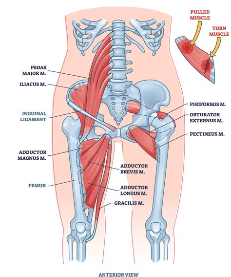 Learning And Time Gika Rector Houston Feldenkrais Practitioner