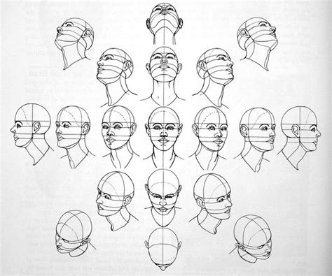 Descubrir más de 73 estructura del rostro dibujo mejor camera edu vn