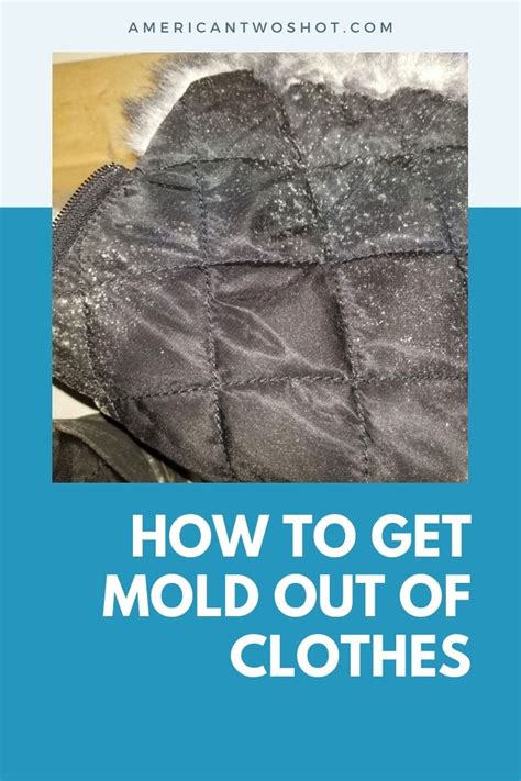 9 Things You Can Use To Get Mold Out Of Your Clothes