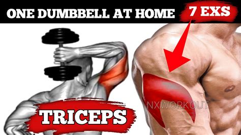 Best Tricep Exercises With One Dumbbell Triceps Workout Triceps
