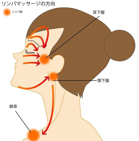 【二重あご】原因は首のコリ？「胸鎖乳突筋」をほぐす2ステップの簡単セルフケア ヨガジャーナルオンライン