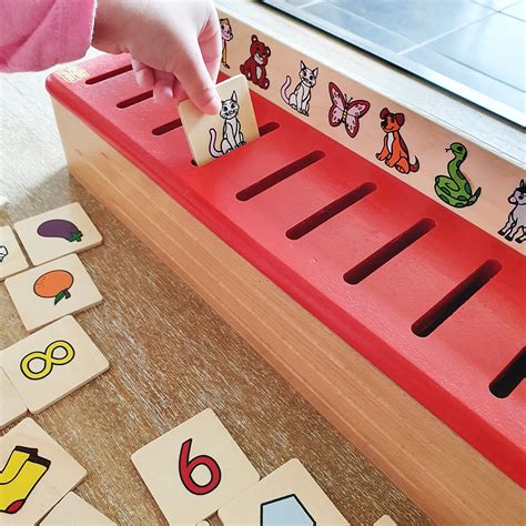 JEU ÉDUCATIF Boîte de tri système Montessori
