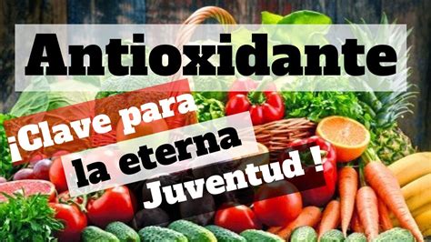 Antioxidante Que Es Y Como Funcionan YouTube