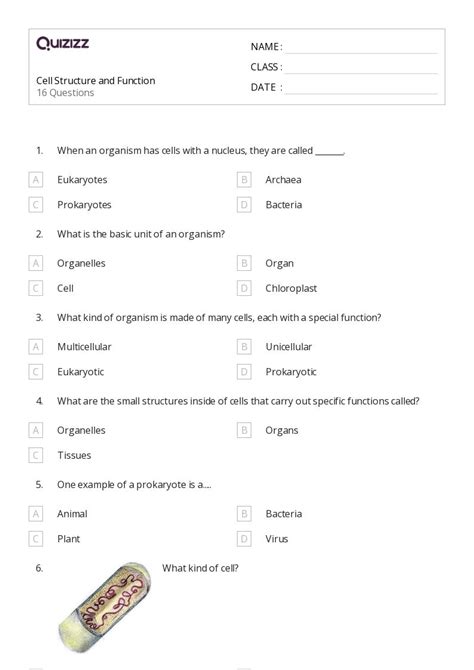 50 Structure Of A Cell Worksheets On Quizizz Free Printable