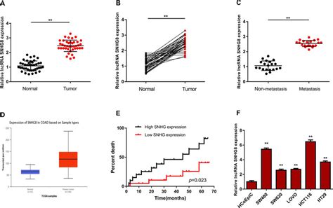 Lncrna Snhg Is Up Regulated In Colorectal Cancer And Predicts Poor