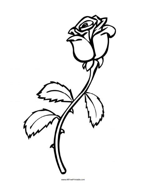 Rose Flower Printable Coloring Pages Best Flower Site