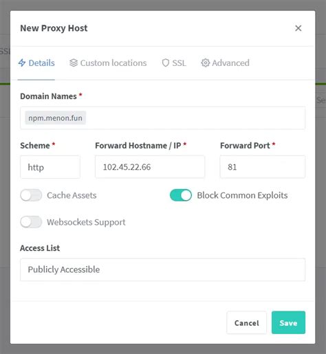 How To Install And Secure Nginx Proxy Manager On Debian Vpsie