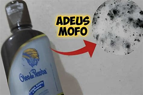 Misturinha Caseira Para Eliminar O Mofo Das Paredes Receita Eficaz