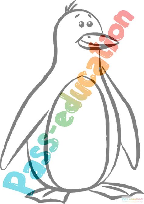 Coloriage gratuit de pingouins dessins à télécharger et imprimer pour