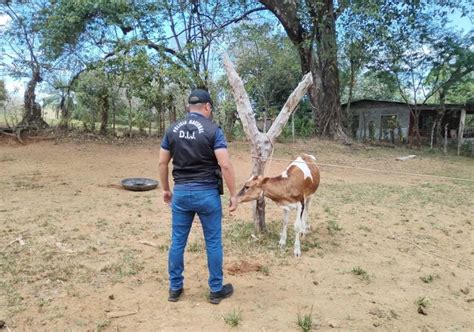 Policía Nacional on Twitter Veraguas Mediante acciones operativas