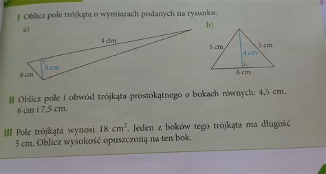 Pliss Potrzebne Na Jutro Brainly Pl