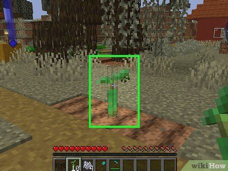 How To Grow Mangrove Trees In Minecraft Easy Guide