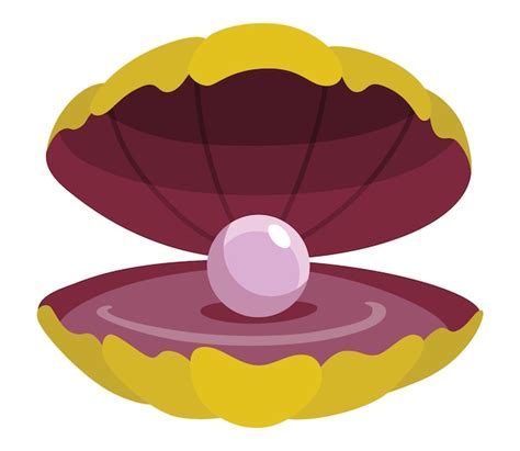Premium Vector Pearl In Seashell Open Seashels Scallop And Pearl