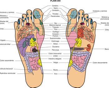 Tratamento que faço reflexologia podal Feetface Clínica de