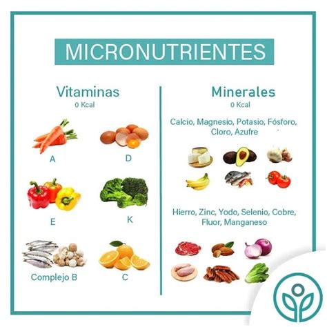 Micronutrientes