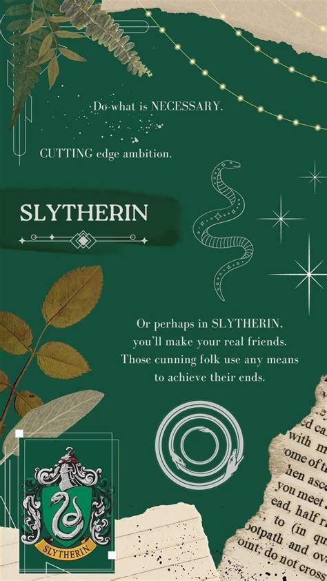 Pin By Elissa Riggleman On Harry Potter Slytherin In 2024 Harry