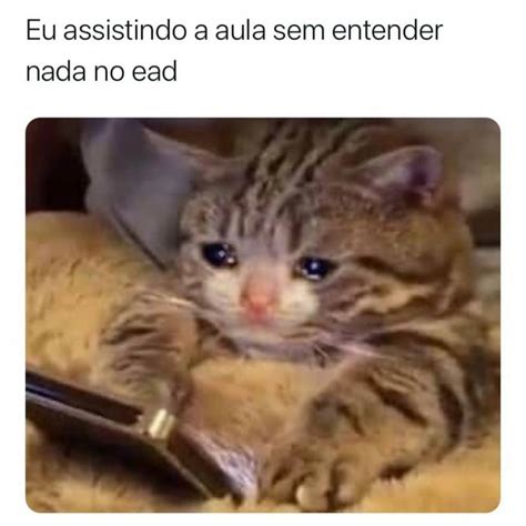 Eu Assistindo A Aula Sem Entender Nada No Ead Memes