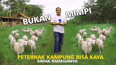Rahasia Peternak Di Kampung Bisa Kaya Dari Pertanian Perkebunan Dan