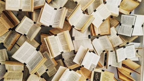 Libros Para Entender La Lucha Feminista Marie Claire