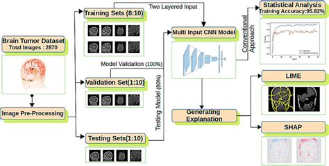 frontiers explanation driven deep learning model for prediction of brain tumour status using
