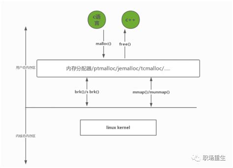 c 内存问题，看这篇就够了 个人文章 segmentfault 思否