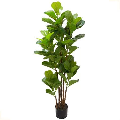 Ficus Lyrata Planta Arvore Artificial Toque Real Realista