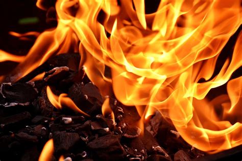 Fuoco Di Sant Antonio Sintomi E Cure Myskin