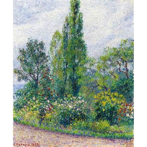 Peinture Par Numéros Kit Pour Adulte Débutant Diy Peinture À L Huile