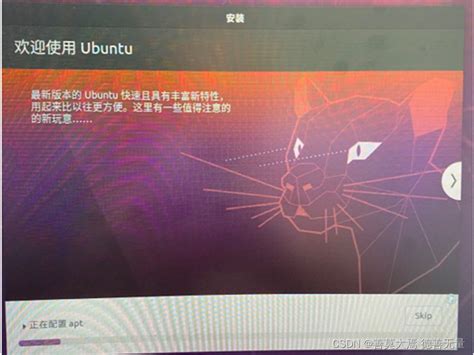 ubuntu20 04安装步骤详细指导 ubuntu20 04安装教程 善莫大焉 德善无量的博客 csdn博客