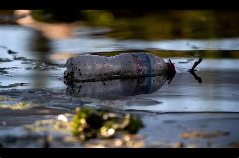 Día Mundial del Ambiente redefinir nuestro vínculo con los materiales
