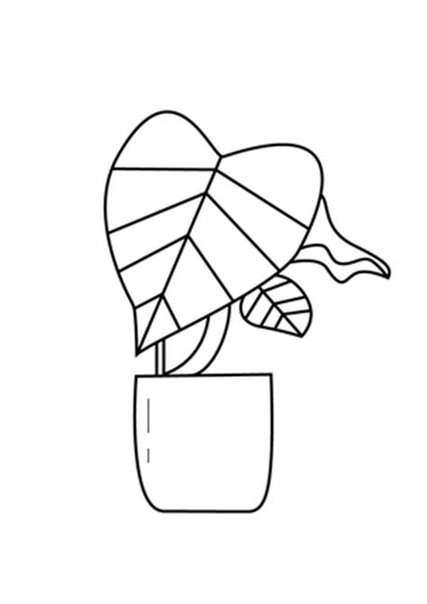 Desenhos De Plantas Para Colorir Desenhos Para Colorir