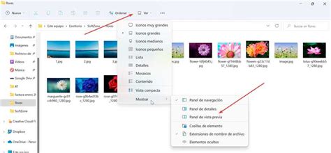 C Mo Ver El Contenido De Una Carpeta Sin Abrirla Haras Dadinco