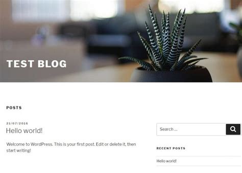 Cómo cambiar de tema en WordPress gratis MoneyToplist