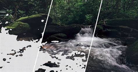 Focus Stacking Made Simple Get Pin Sharp Photos In 90 Seconds PetaPixel