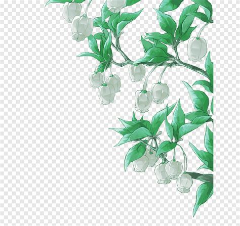 Recopilaci N Imagen Flores Verde Agua Png Abzlocal Mx