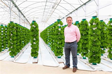 UK Is Building Its Largest Vertical Farm Yet