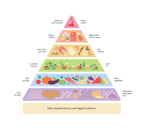 Concepto De Guía Alimentaria Ilustración Moderna Plana Vectorial