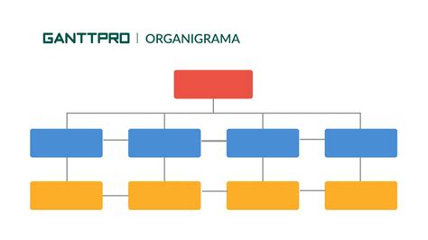 Tipos de organizadores gráficos con ejemplos
